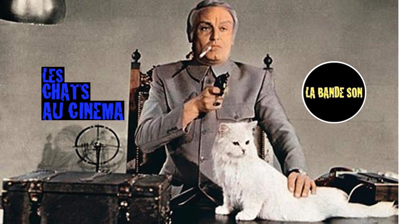 La Bande Son – la radio de Jet