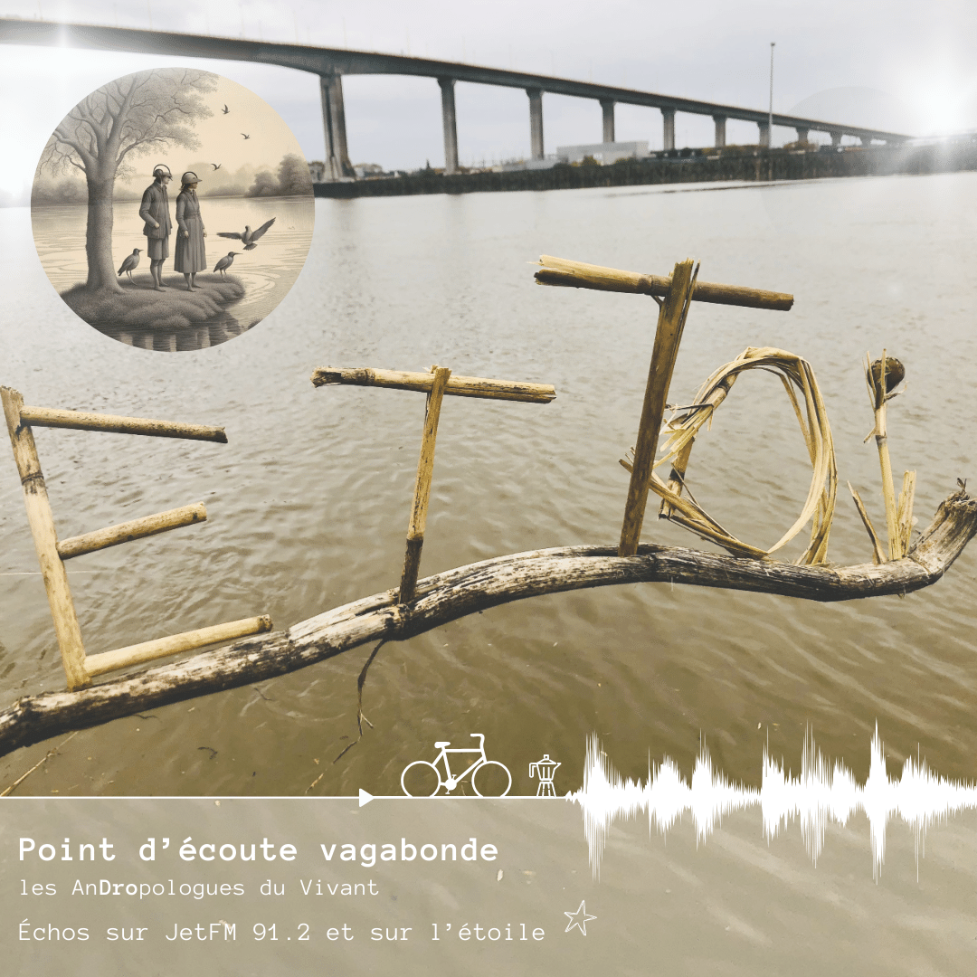 Et toi ? – jet radio